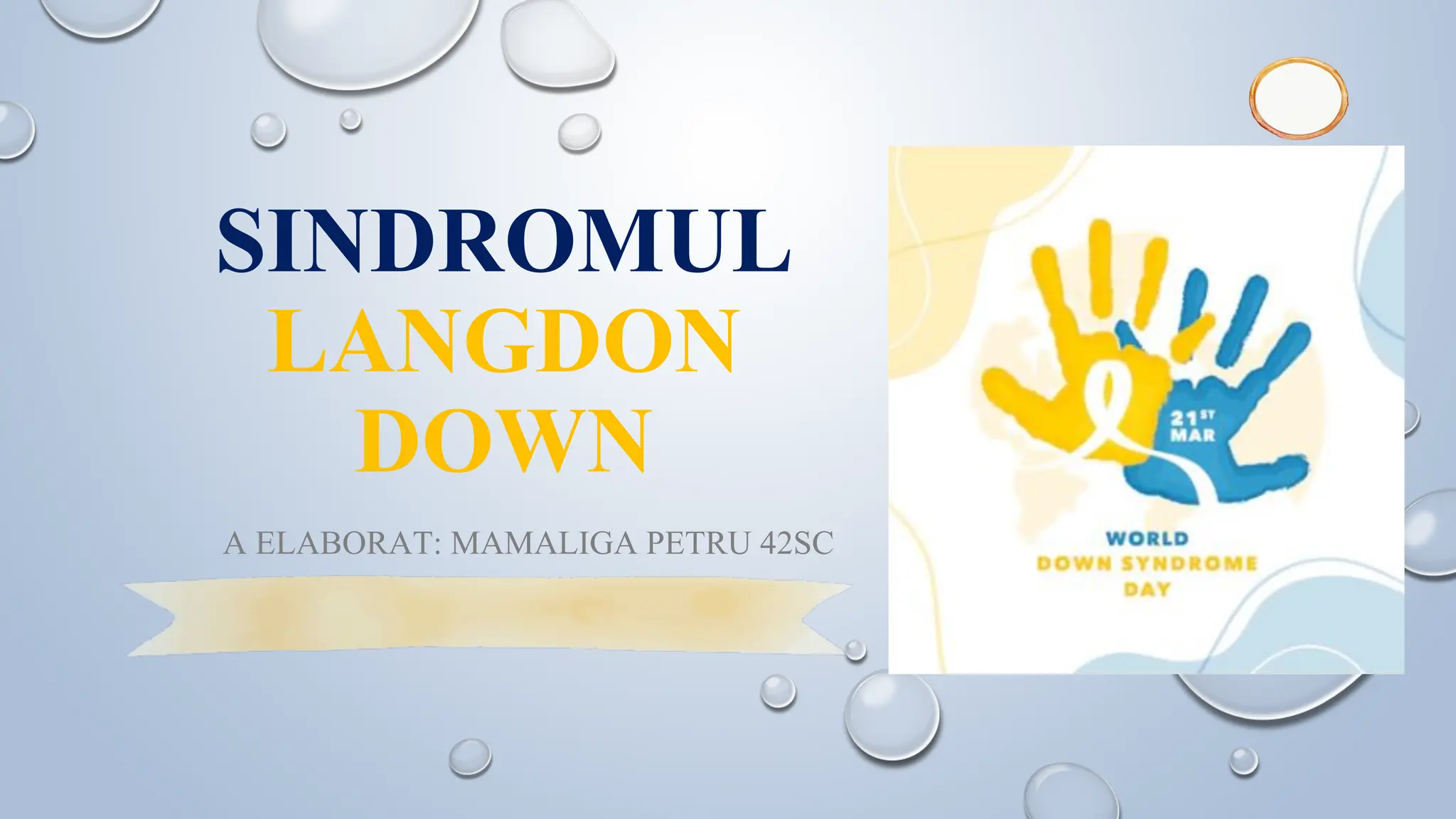 Sindromul Down | PDF