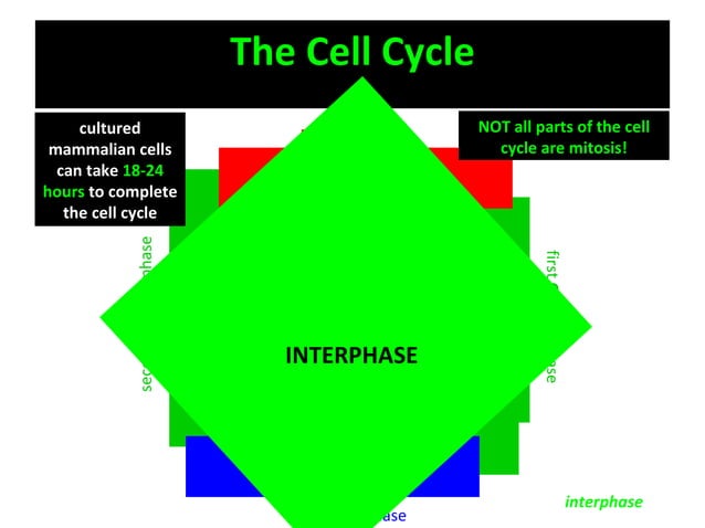 document.php?document_name=asdf | PPT