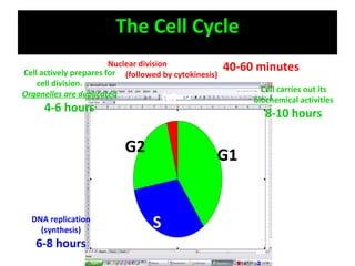 document.php?document_name=asdf | PPT