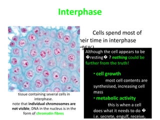 document.php?document_name=asdf | PPT