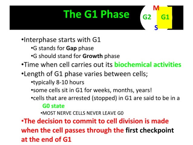 document.php?document_name=asdf | PPT