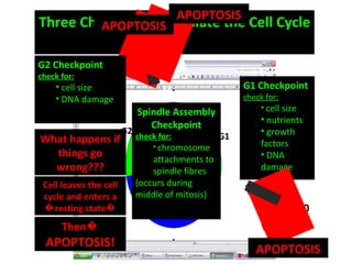 document.php?document_name=asdf | PPT