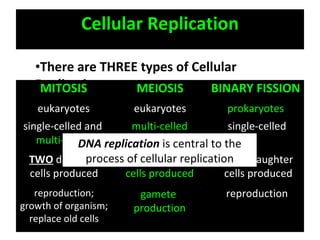 document.php?document_name=asdf | PPT