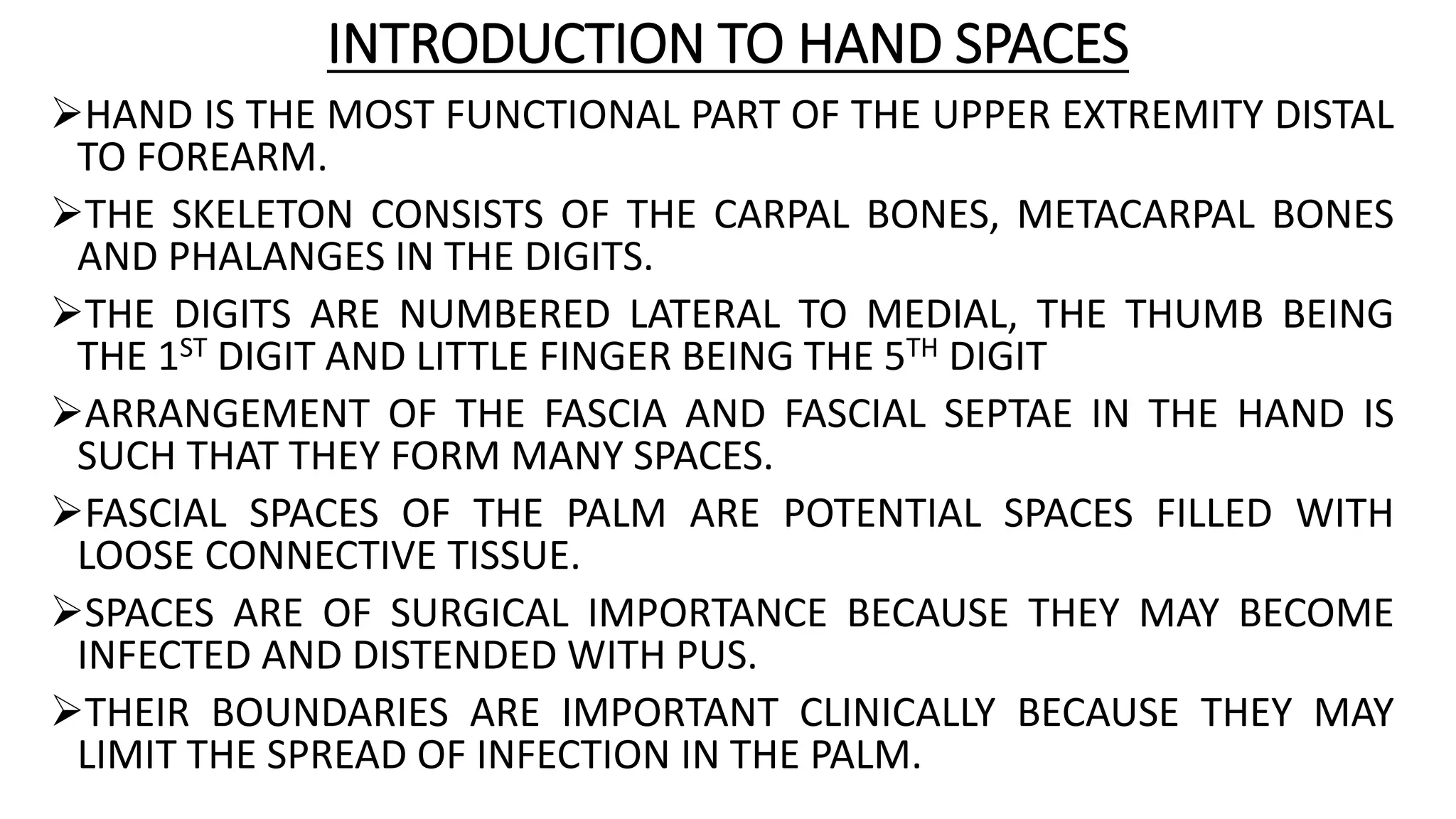 documents_null-ANATOMY+OF+HAND+SPACE,+INFECTIONS+OF+HAND (2).pdf