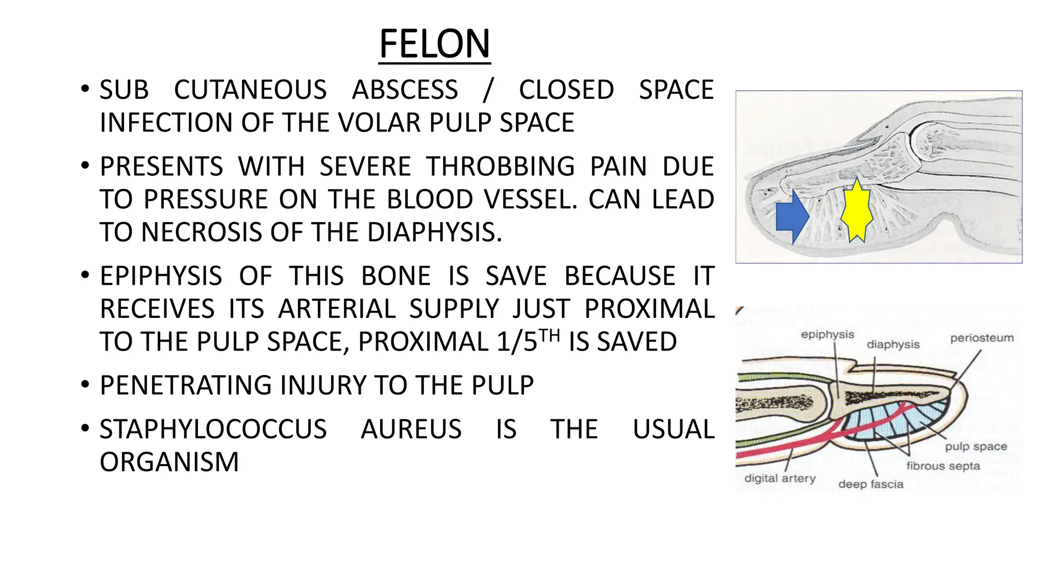 documents_null-ANATOMY+OF+HAND+SPACE,+INFECTIONS+OF+HAND (2).pdf
