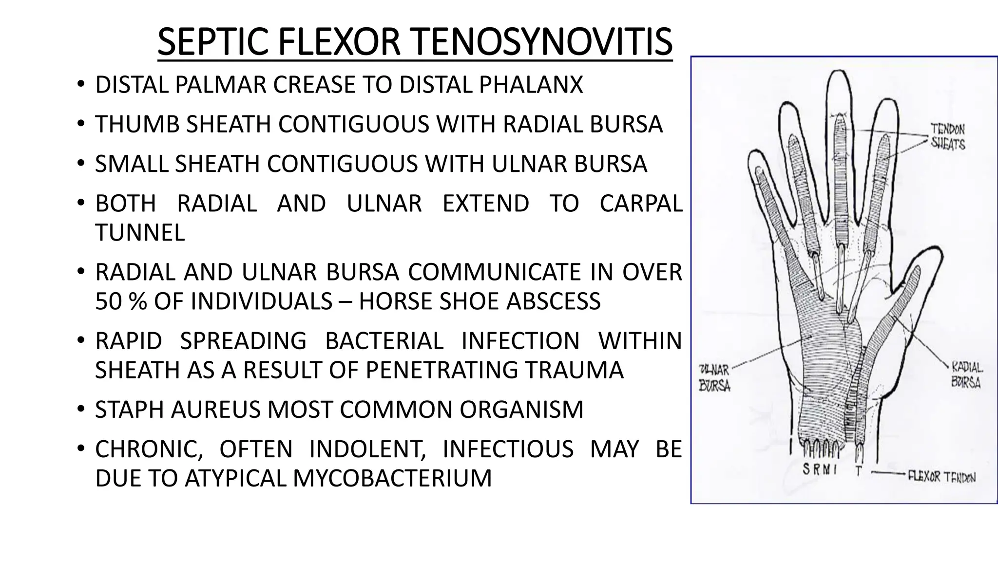 documents_null-ANATOMY+OF+HAND+SPACE,+INFECTIONS+OF+HAND (2).pdf
