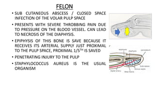 documents_null-ANATOMY+OF+HAND+SPACE,+INFECTIONS+OF+HAND (2).pdf