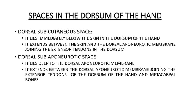 documents_null-ANATOMY+OF+HAND+SPACE,+INFECTIONS+OF+HAND (2).pdf
