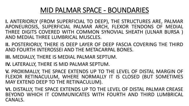 documents_null-ANATOMY+OF+HAND+SPACE,+INFECTIONS+OF+HAND (2).pdf