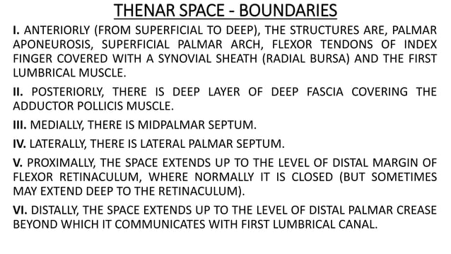 documents_null-ANATOMY+OF+HAND+SPACE,+INFECTIONS+OF+HAND (2).pdf