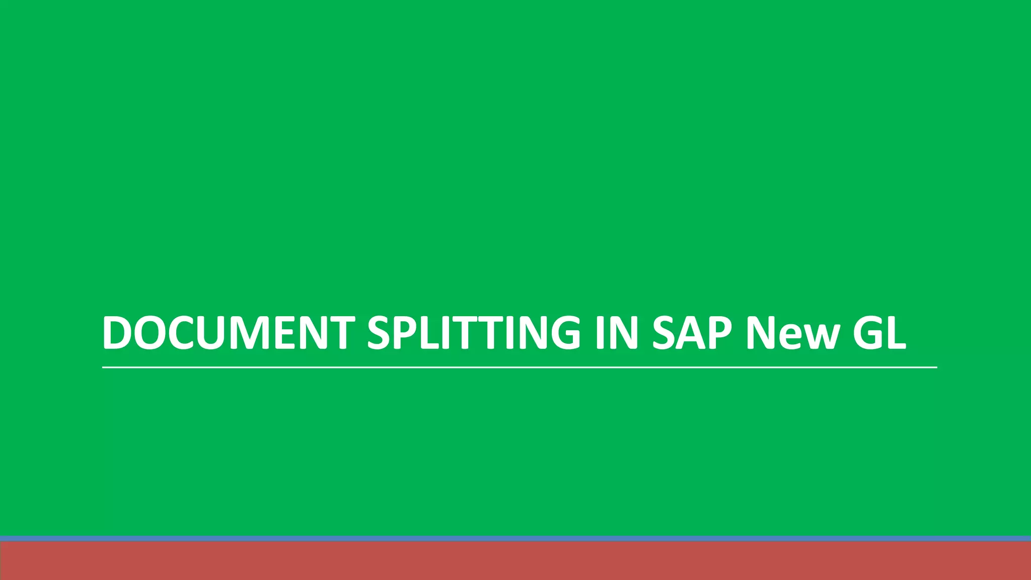 Document splitting in New GL in SAP | PDF