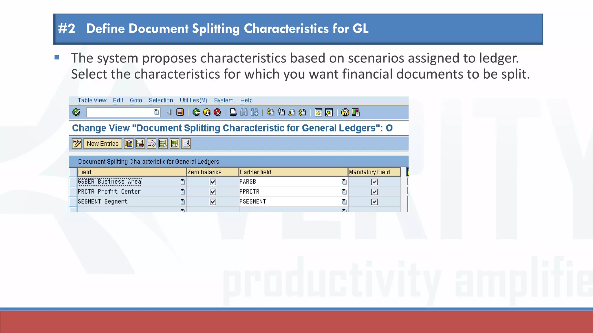 Document splitting in New GL in SAP | PDF