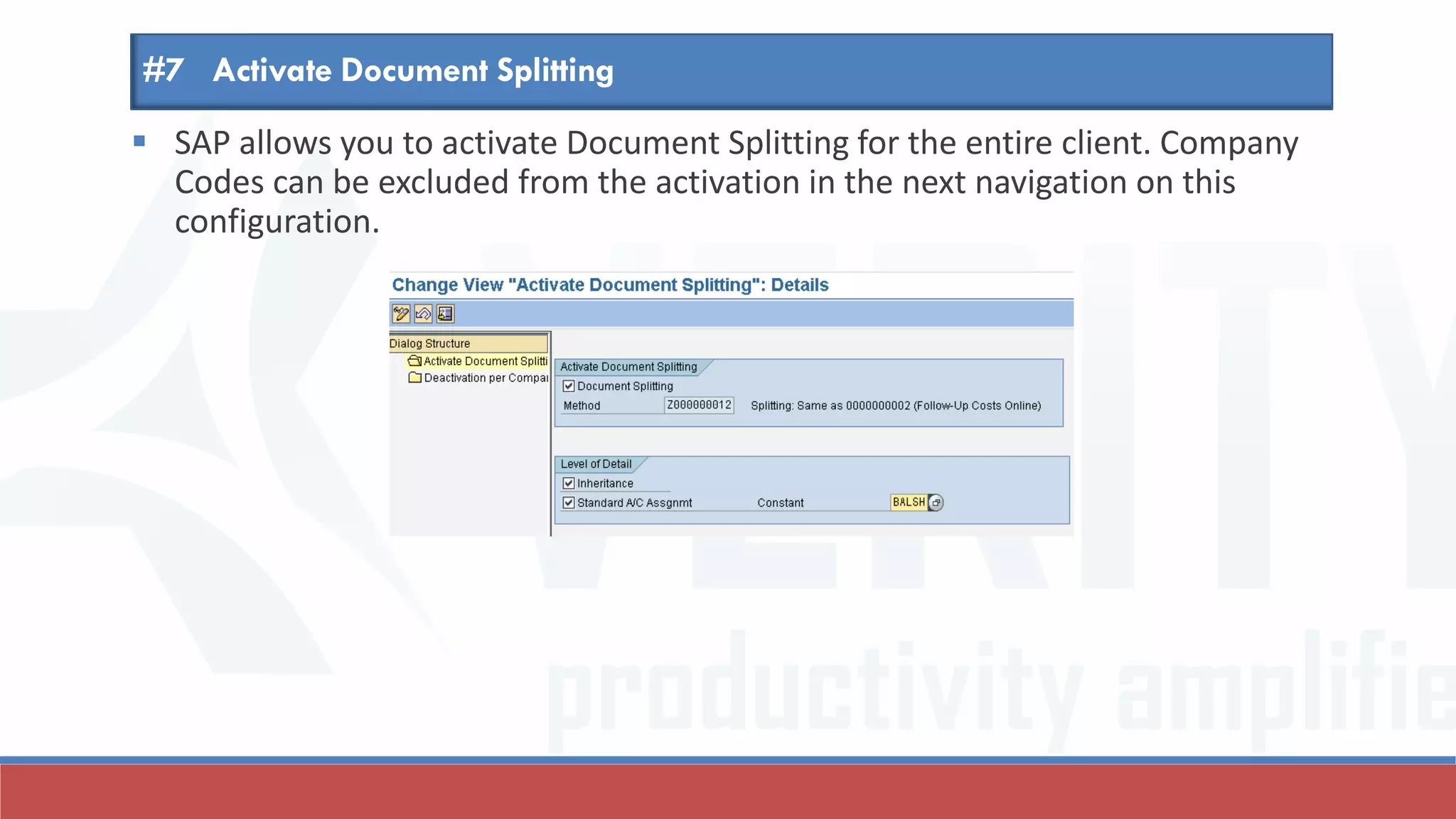 Document splitting in New GL in SAP | PDF