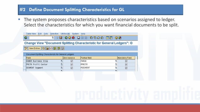 Document splitting in New GL in SAP | PDF | Business Accounting & Finance | Business