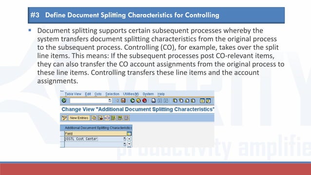 Document splitting in New GL in SAP | PDF | Business Accounting & Finance | Business