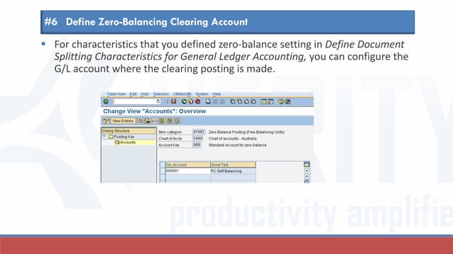 Document splitting in New GL in SAP | PDF | Business Accounting & Finance | Business