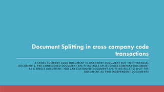 Document splitting in New GL in SAP | PDF