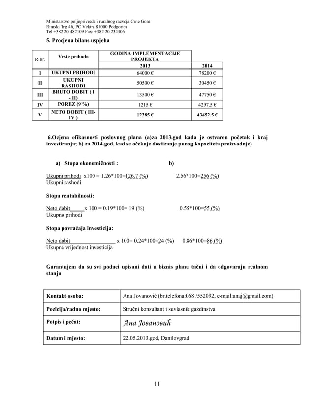 Biznis plan - Proizvodnja soka od nara | PDF