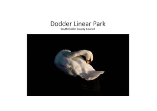 Dodder Linear Park - South Dublin County Council | PDF