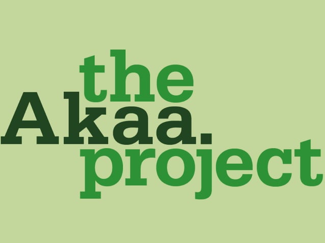 Akaa Project Dodgeball | PPT
