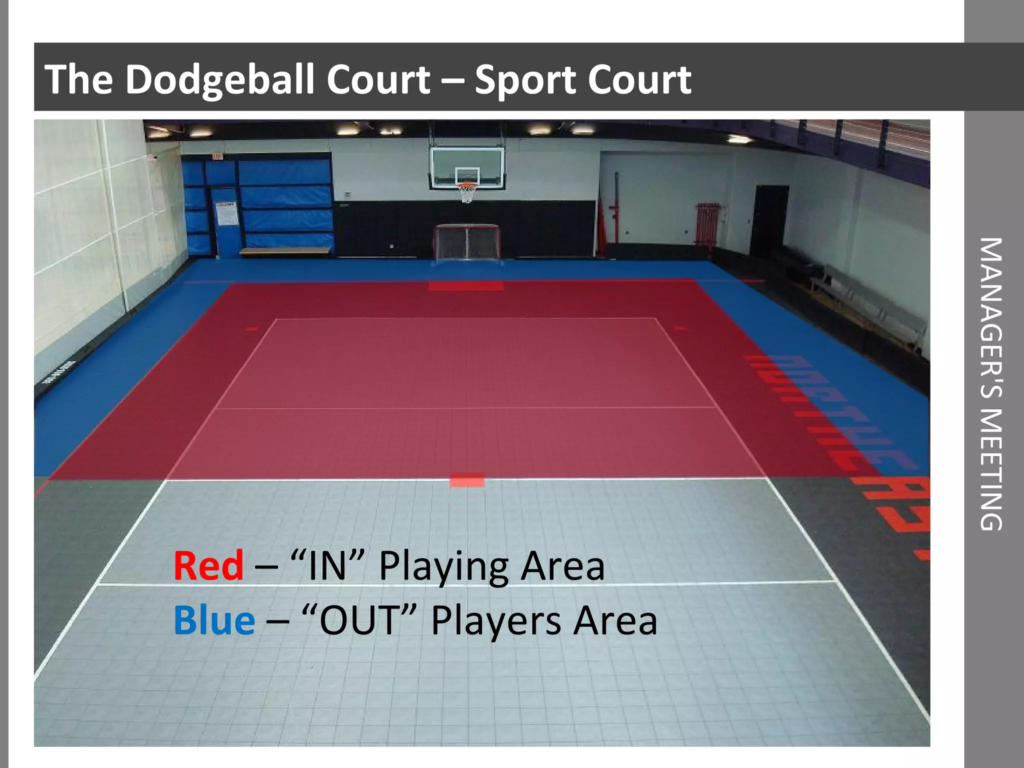 Dodgeball Managers Ppt | PPT