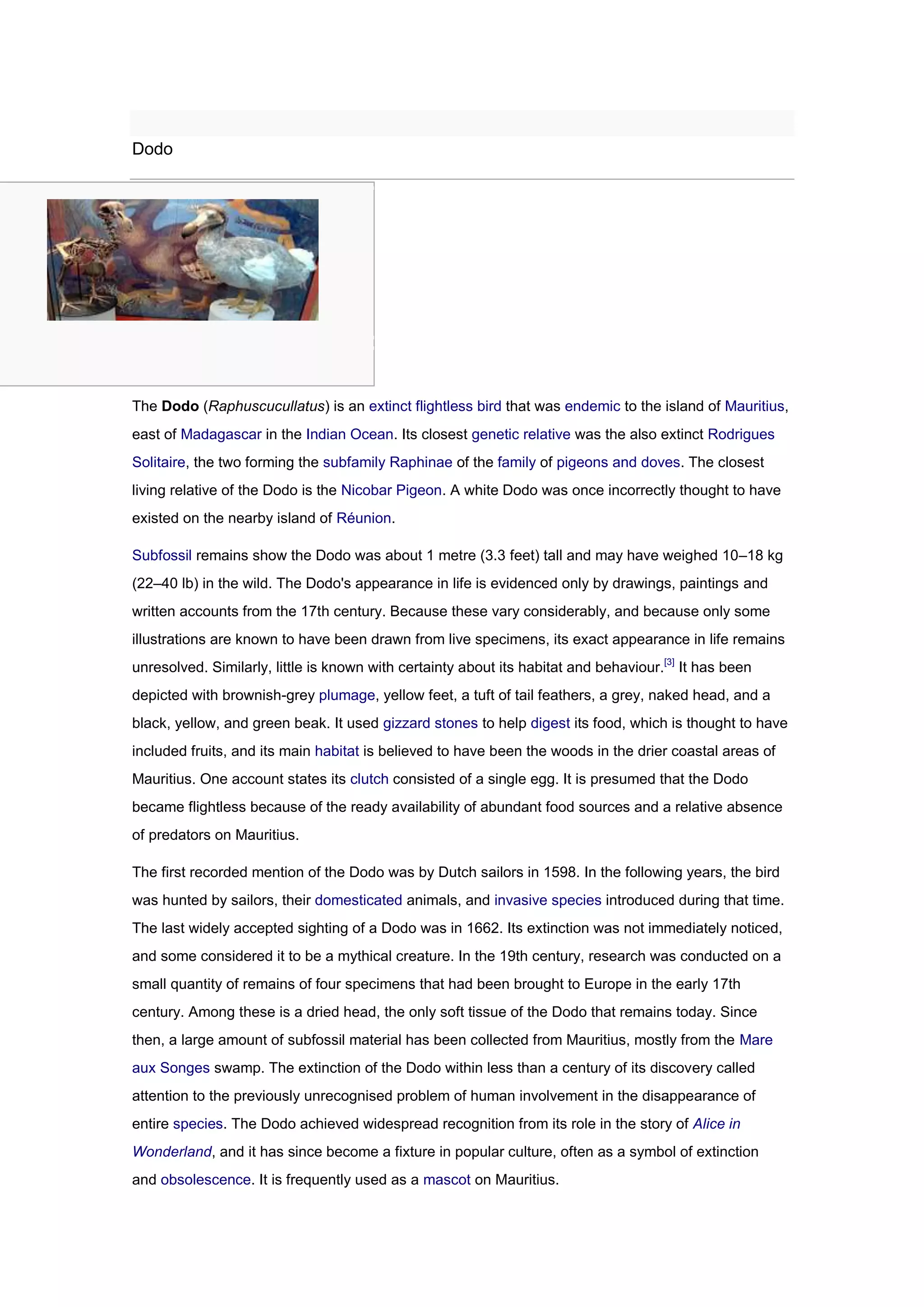 Dodo | DOCX