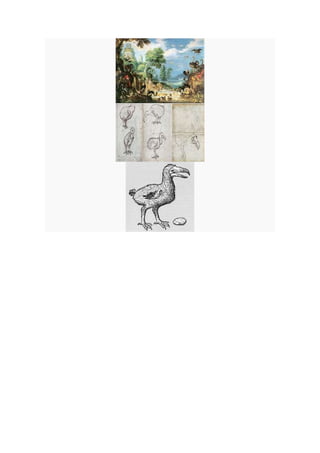 Dodo | DOCX
