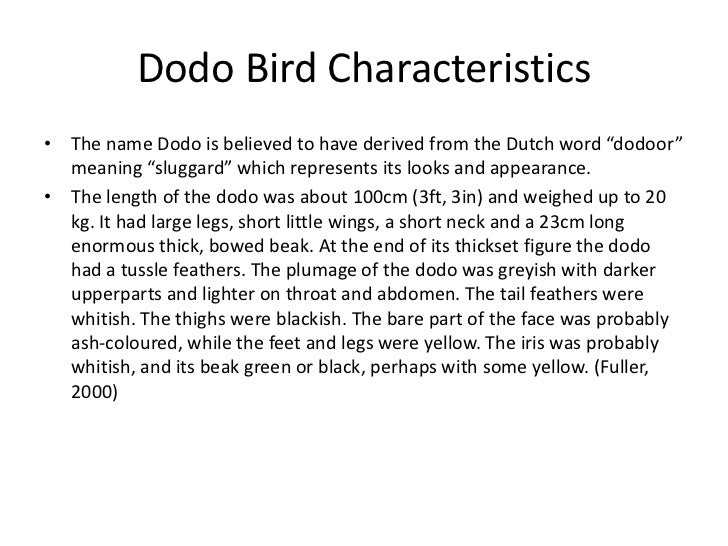 Dodo bird - raphus cucullatus