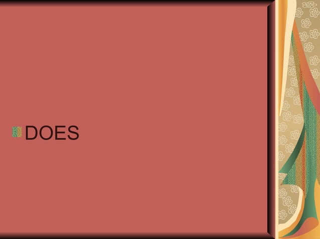 Do,does | PPT