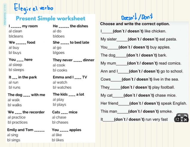 Practice Do,Does para niños practica.pdf