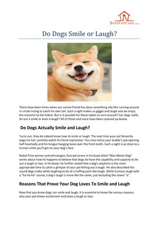 Do Dogs Actually Laugh