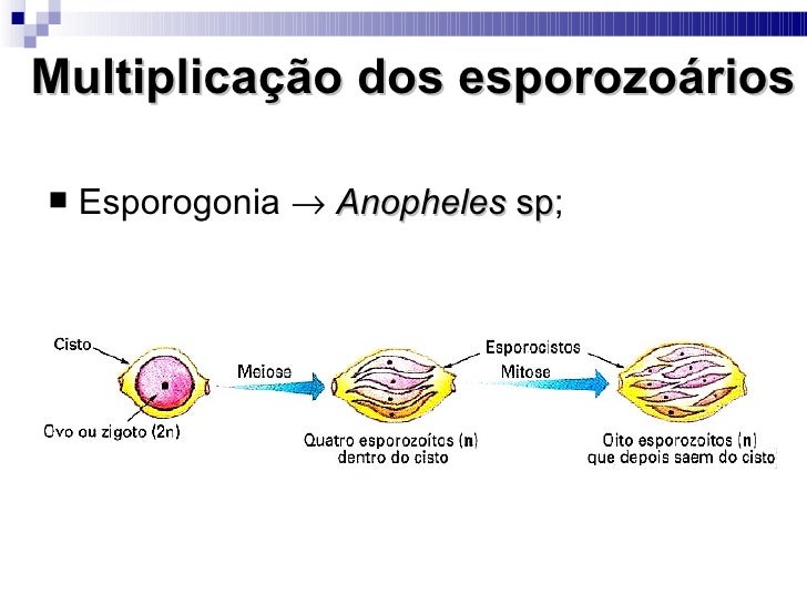 DoençAs Causadas Por ProtozoáRios