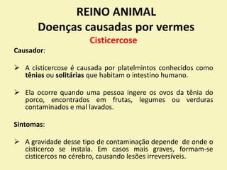 Doenças causadas por vermes | PPTX