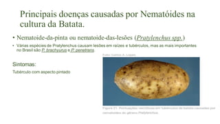 Doenças de Batata e Inhame.pdf