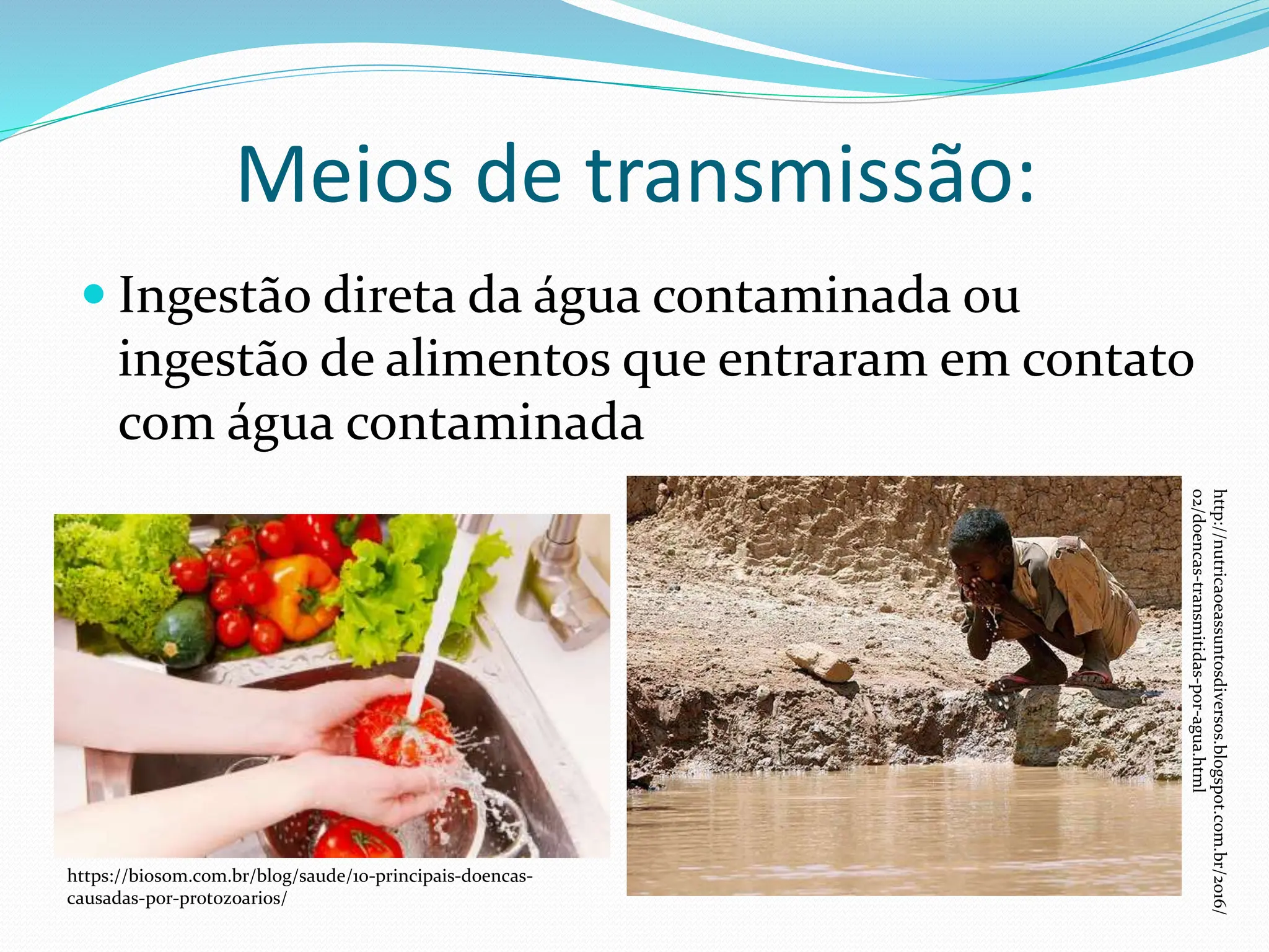 Doenças Transmitidas por água contaminada AULA.pptx | Download Gratuito