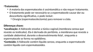doenças do ap. reprodutor masculino 2.pptx