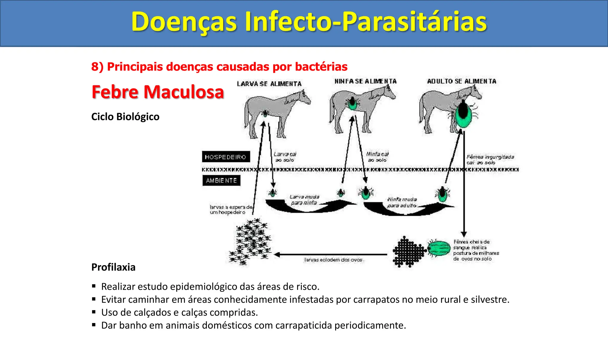 Doenças causadas por parasitas - Doencas Infecto-Parasitarias.ppt