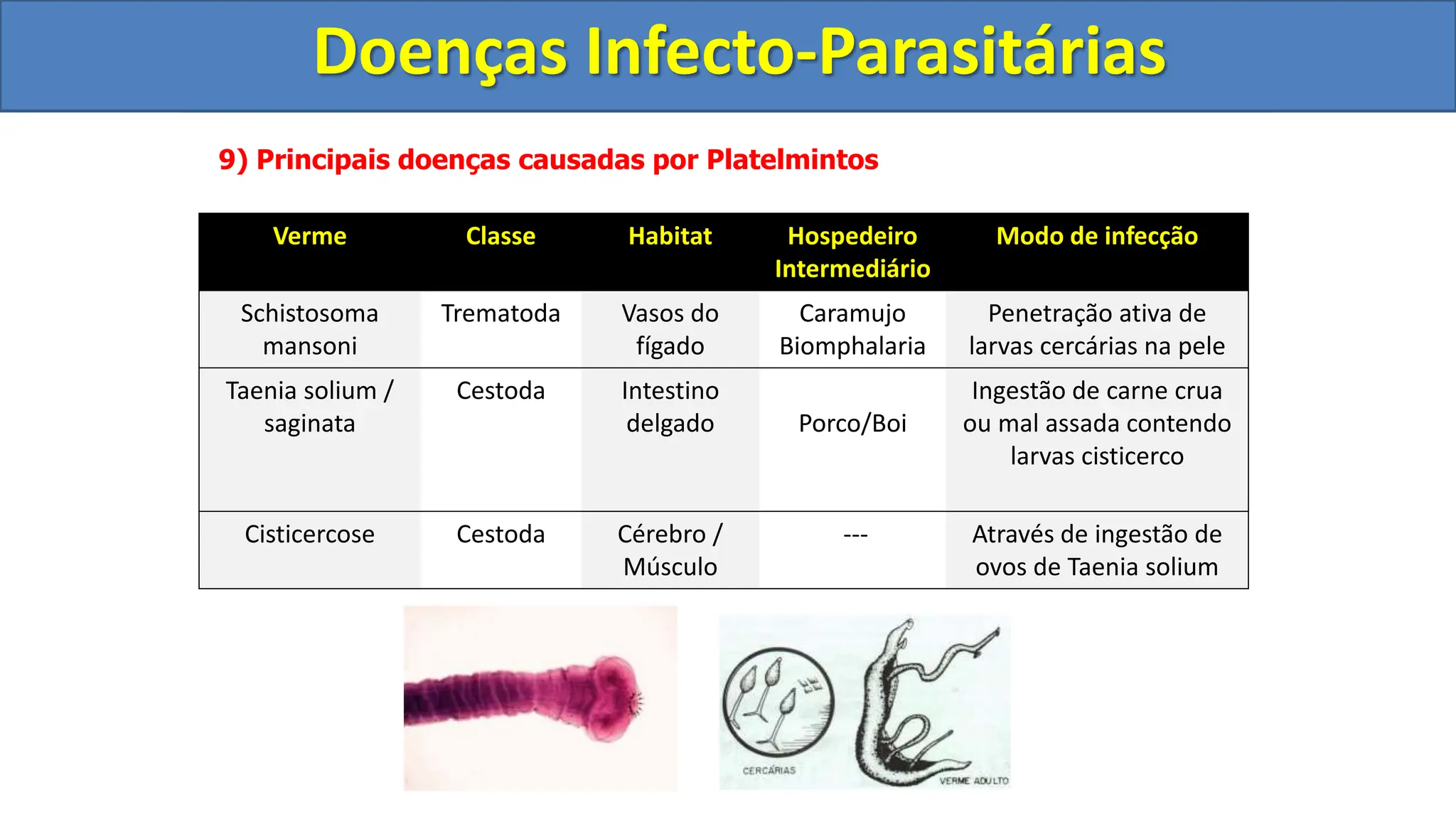 Doenças causadas por parasitas - Doencas Infecto-Parasitarias.ppt