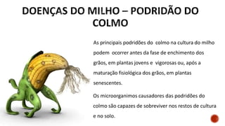 Doençãs fungicas do milho pdf | PDF