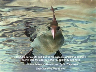 Does Evil Exist | PPS