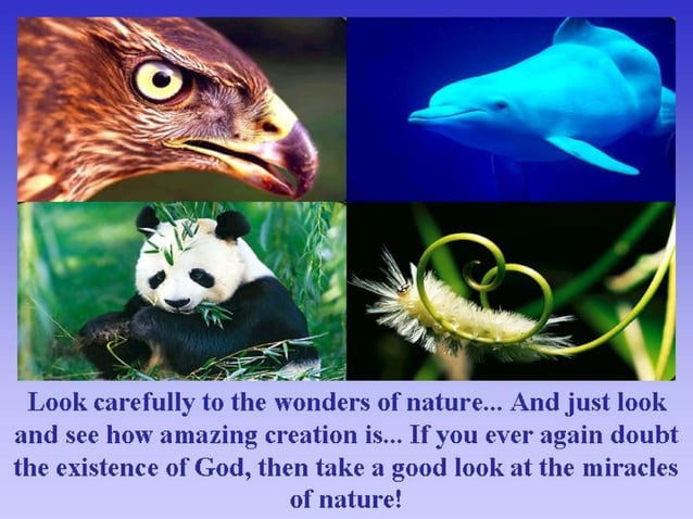 Does God Really Exist? | PPS