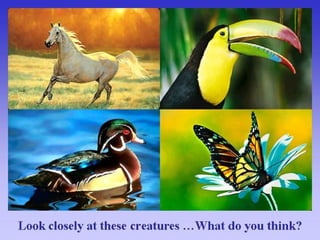 Does God Really Exist? | PPS