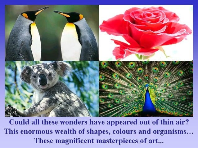 Does God Really Exist? | PPS