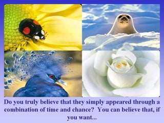 Does God Really Exist? | PPS