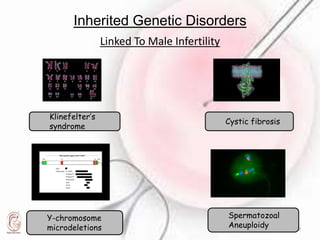 Does icsi causes genetic defects | PPTX