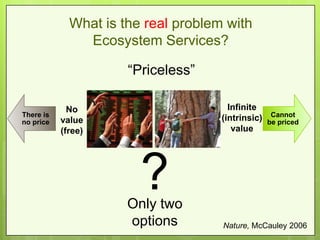 Does nature have value | PPSX