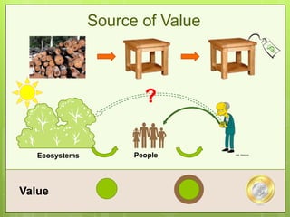Does nature have value | PPSX