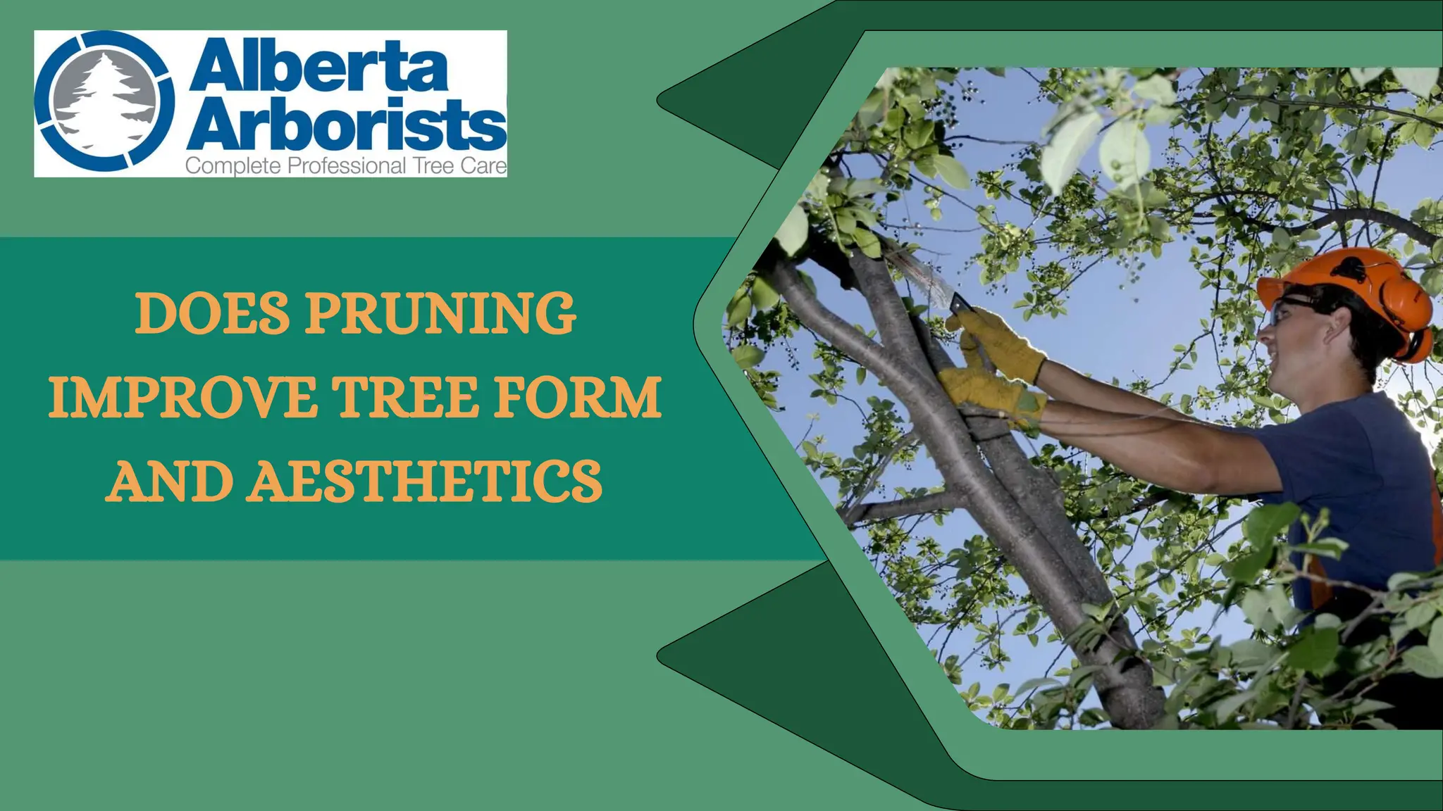 Does Pruning Improve Tree Form and Aesthetics | PPT