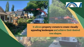 Does Pruning Improve Tree Form And Aesthetics Ppt