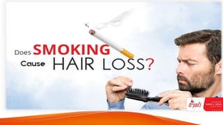 Does Smoking Cause Hair Loss | PPTX | Lung and Respiratory Health | Diseases and Conditions
